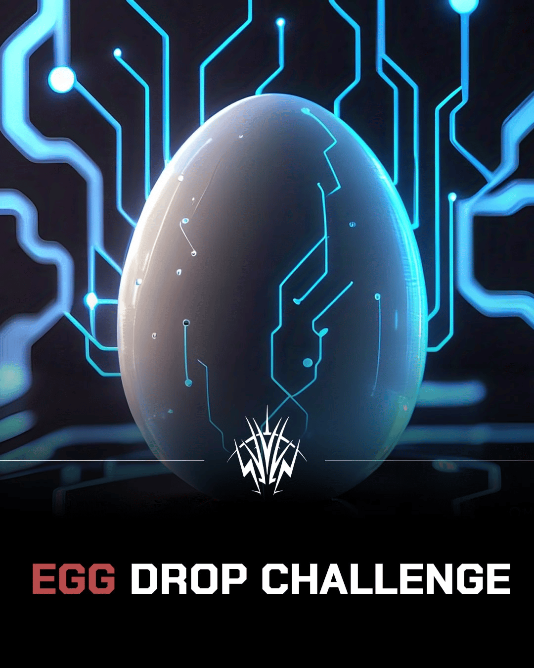 Egg Drop Challenge | Vidyut 2025